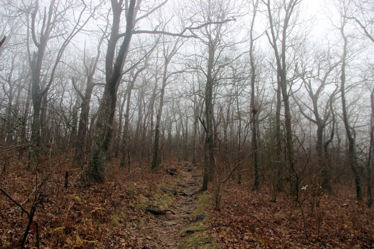 Best Fall Hikes in Georgia – Wandering the Gap