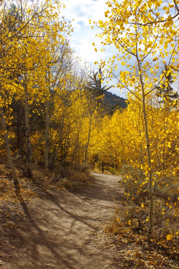 Best Places to See Fall Colors in Colorado | Colorado Leaf-Peeping ...