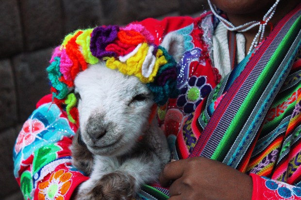 Peru Photo Diary – Part 3 – Wandering the Gap