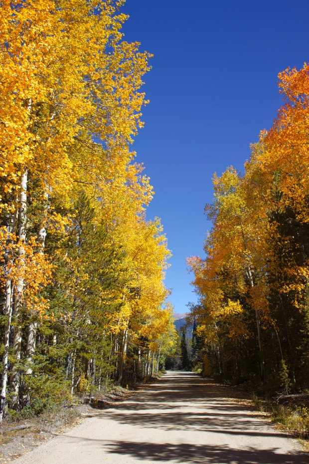 Best Places to See Fall Colors in Colorado | Colorado Leaf-Peeping ...