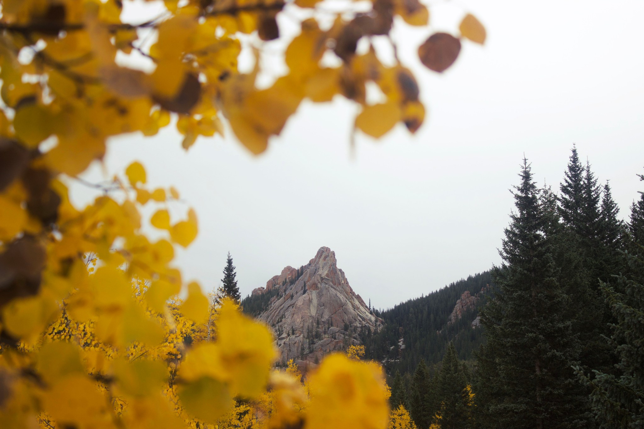 Best Places to See Fall Colors in Colorado | Colorado Leaf-Peeping ...