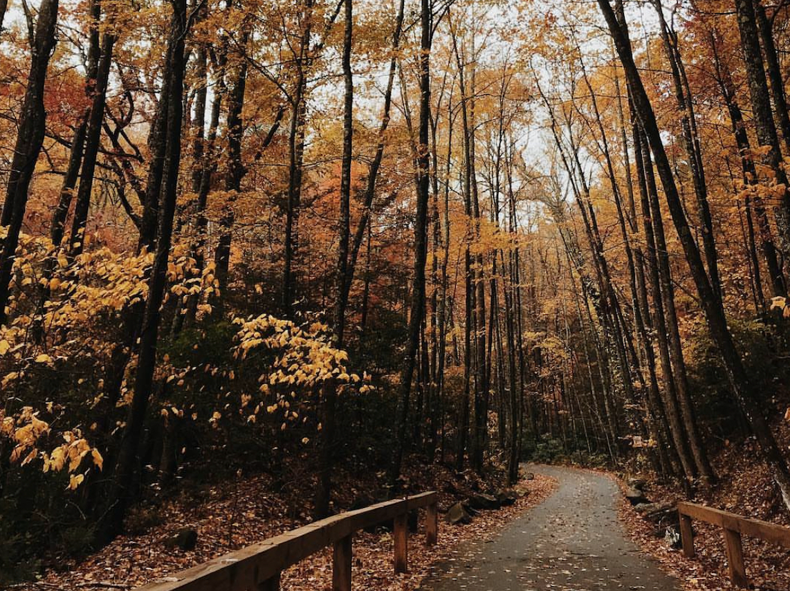 Best Fall Hikes in Georgia – Wandering the Gap