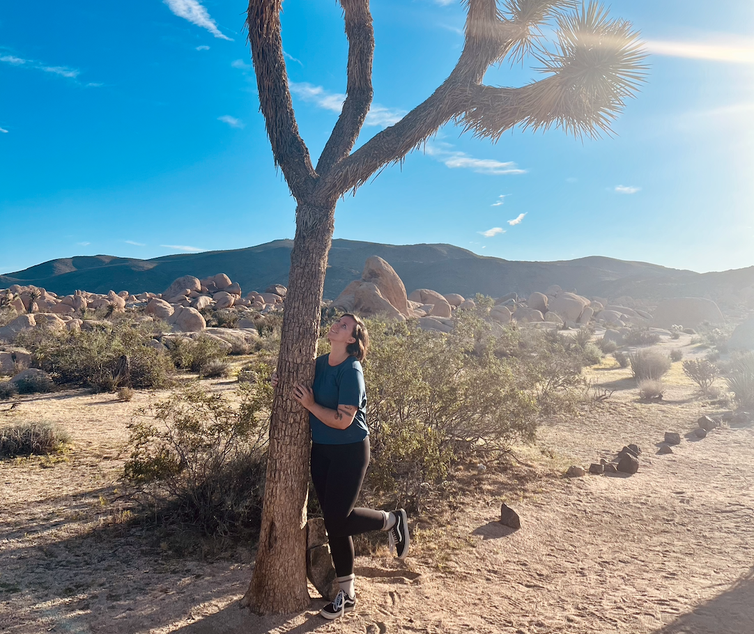 Phoenix to Joshua Tree Road Trip: 72 Hours in the Southwest – Wandering ...